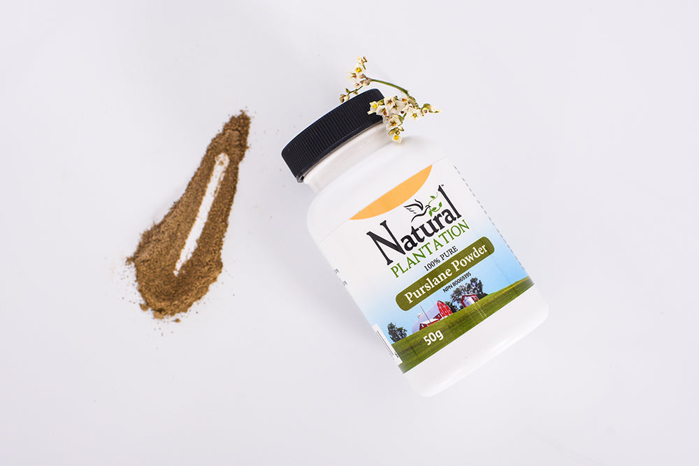 Purslane Powder - Simplee Natural – Simplee Natural